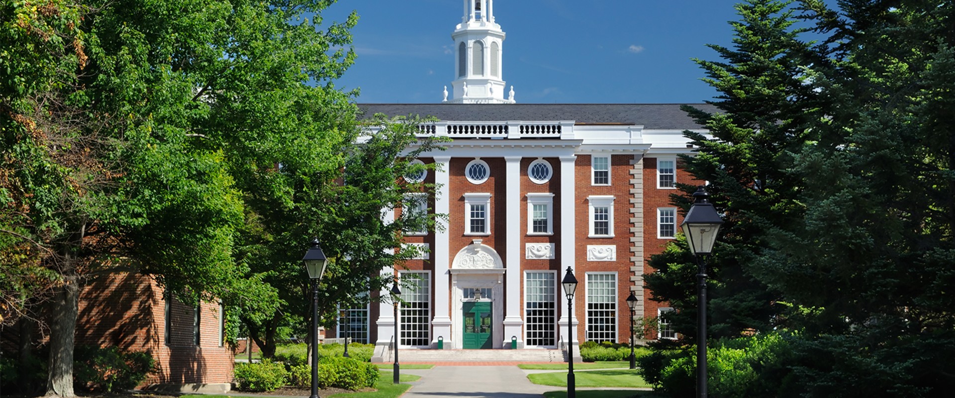 What can I study at the university of the United States?